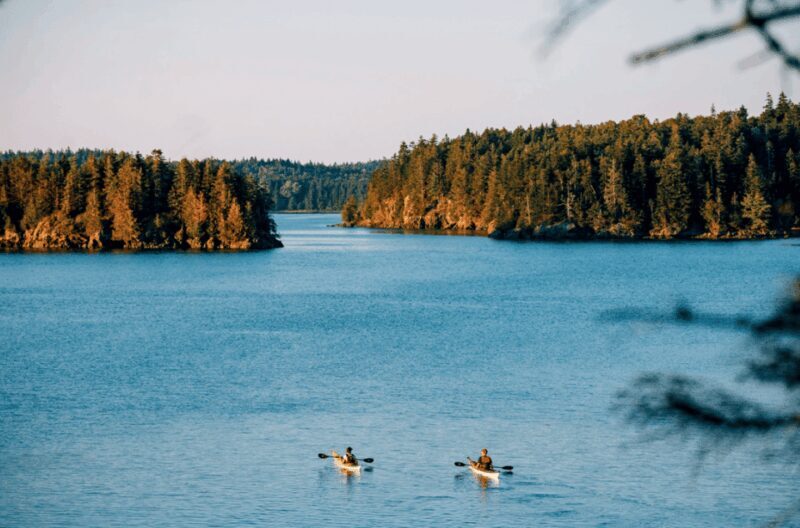 Maine: Half-Day Double Kayak Rental - Why This Experience Works Well
