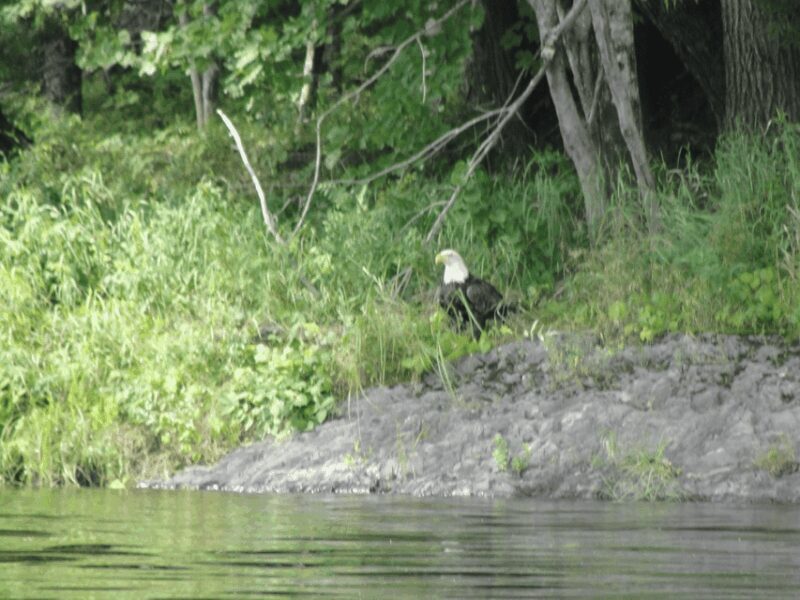 Maine: Penobscot Downriver Boat Rides - FAQ