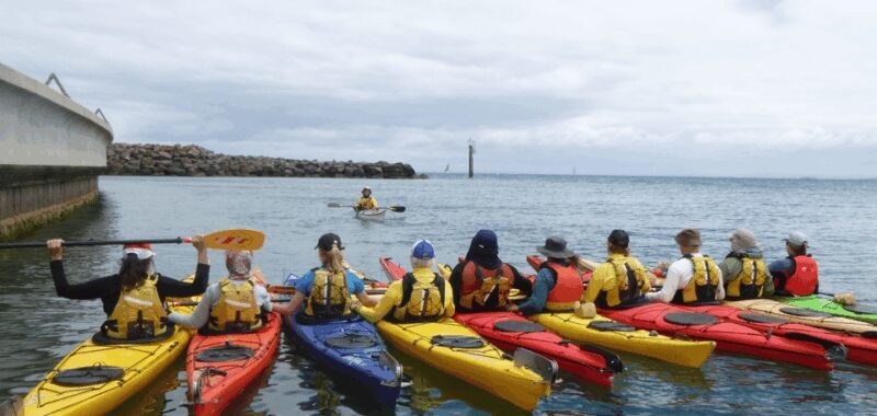 Maine: Penobscot River Guided Kayaking Tour - The Experience: From Calm Waters to Stunning Vistas