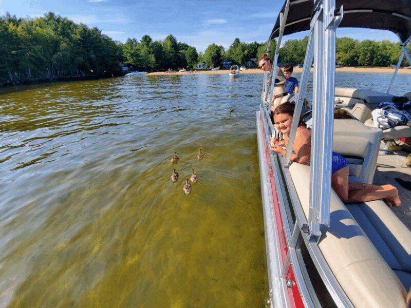 Maine: Penobscot River Private Charter Boat Ride - Experience and Itinerary