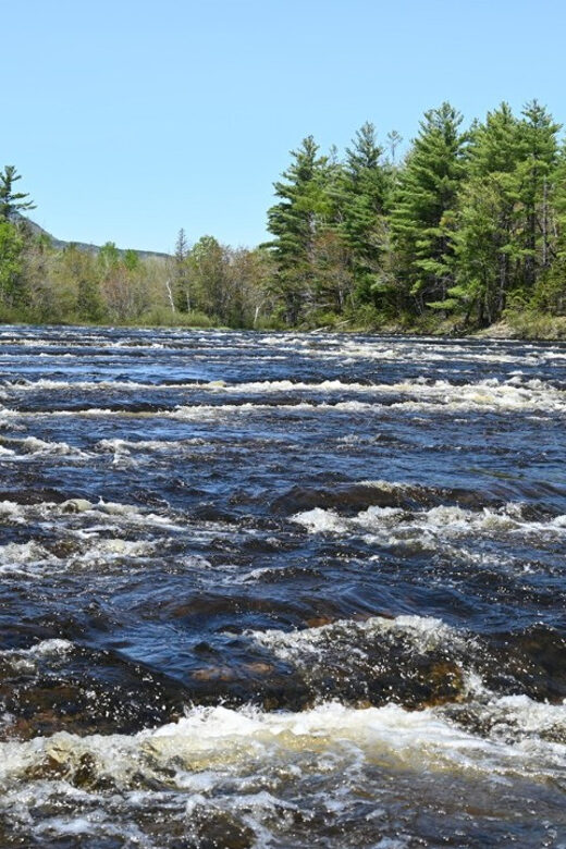 Maine: Penobscot River Private Charter Boat Ride - Key Points