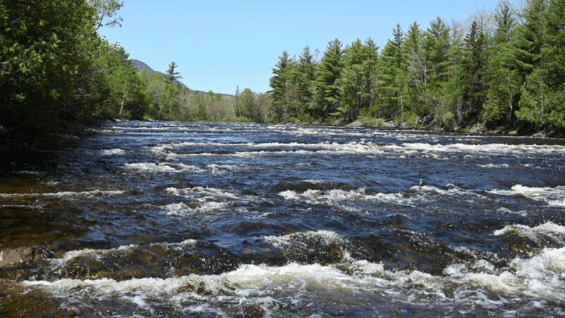 Maine: Penobscot River Private Charter Boat Ride - Authentic Experiences, Gentle Adventure