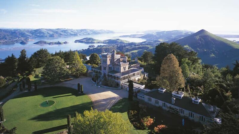 Mainland & Otago Peninsula Tour - Who Is This Tour Best Suited For?