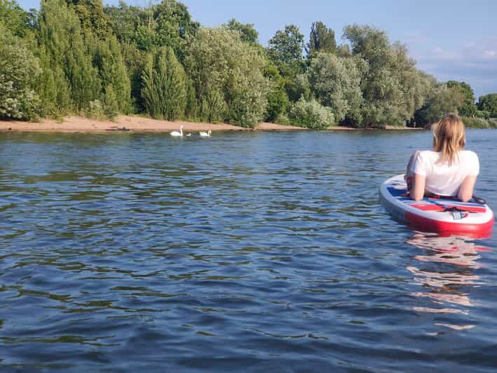 Mainz: Stand Up Paddling Tour on the Rhine River - A Detailed Look at the Mainz SUP Experience