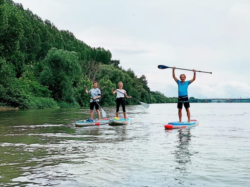 Mainz: Stand Up Paddling Tour on the Rhine River - FAQs