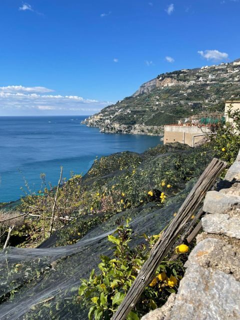 Maiori: Amalfi Coast Path of Lemons Day Trip with Tastings - What You Get for the Price