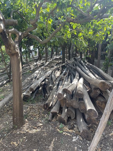 Maiori: Amalfi Coast Path of Lemons Day Trip with Tastings - Who This Tour Is Perfect For