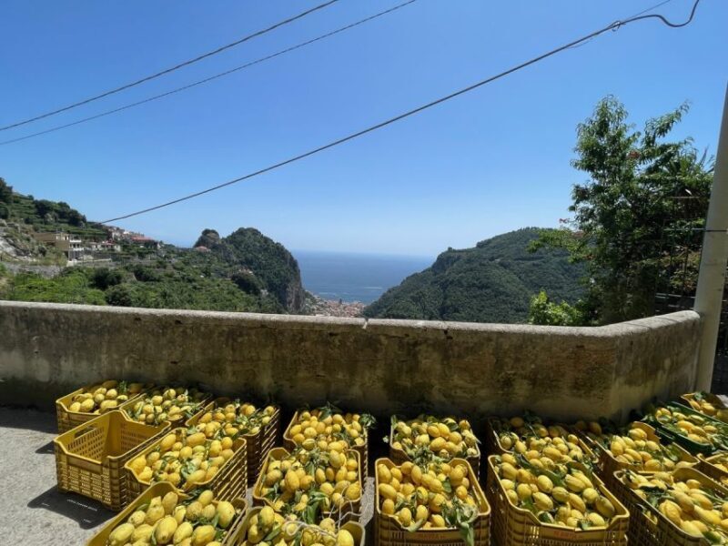 Maiori: Amalfi Coast Path of Lemons Day Trip with Tastings - FAQs about the Amalfi Coast Path of Lemons Tour