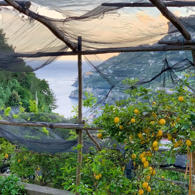 Maiori: Amalfi Coast Path of the Lemon private walking tour - Practical Considerations