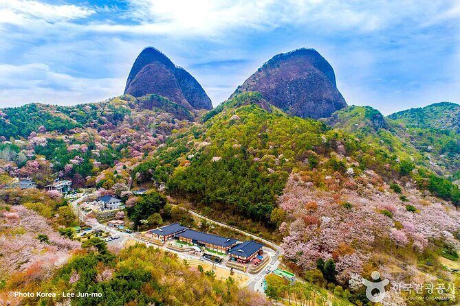 Maisan Cherry Blossom and Jeonju Hanok Village - Who will enjoy this tour?