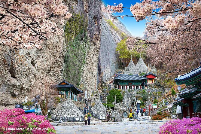 Maisan Cherry Blossom and Jeonju Hanok Village - The Itinerary in Detail