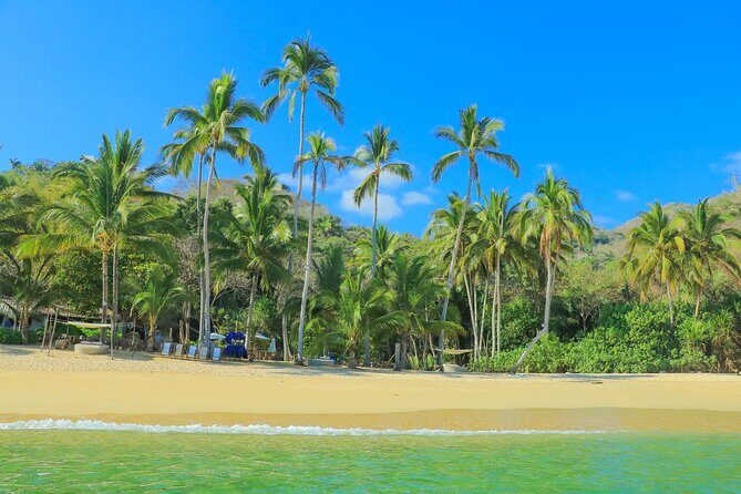 Majahuitas All inclusive Beach Day - Practical Details and Considerations