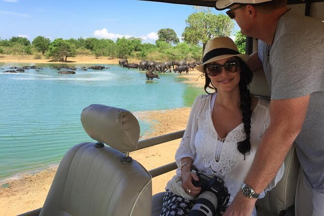 Majestic beast safari, Sri Lankas oldest Elephant Park-Udawalawe National Park - Authentic Perspectives from Past Travelers