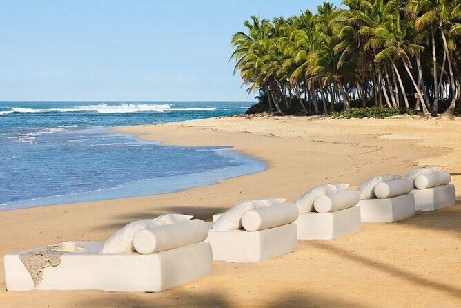 Majestic Elegance - Round Trip Shuttle - Punta Cana Airport - What to Expect from This Shuttle Service