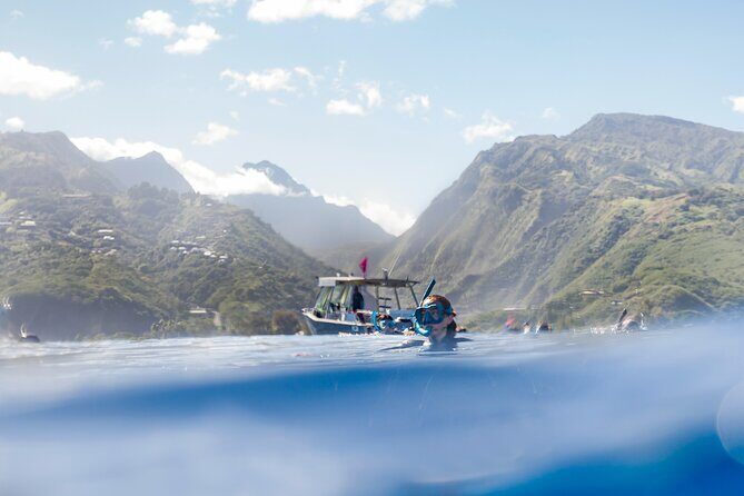Majestic Encounter Respectful Whale Watching - Authenticity and Ethical Approach