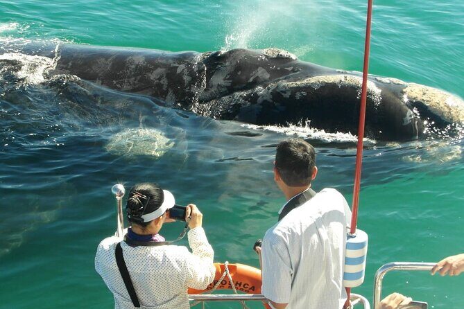 Majestic Mammals Of Sri Lanka: Whale & Elephant Safari Tour - FAQ