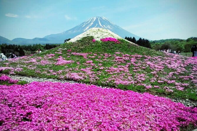 Majestic Mount Fuji: Exclusive Private Day Tour - Dining, Pricing, and Overall Value