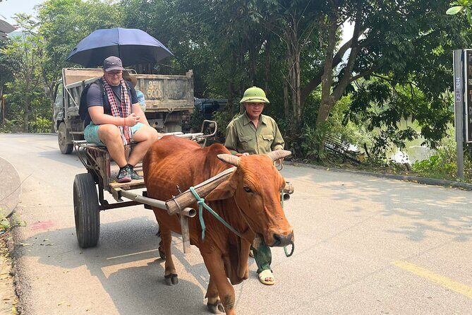 Majestic Ninh Binh Discovery: Mua Cave & Tam Coc private tour - The Sum Up: Does This Tour Deliver?