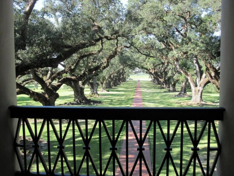 Majestic Oak Alley Plantation Tour - Practical Tips for Visitors