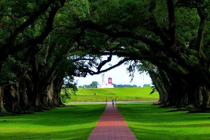 Majestic Oak Alley Plantation Tour - The Majestic Oak Alley