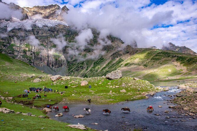 Majestic Sonamarg: A Day Trip to the Meadow of Gold from Srinagar - Key Points