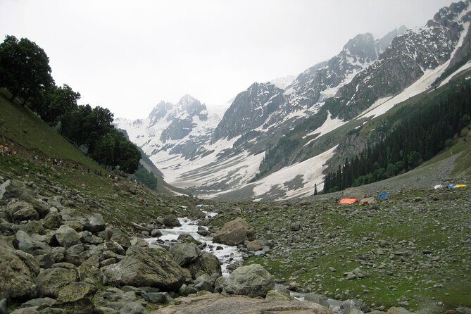 Majestic Sonamarg: A Day Trip to the Meadow of Gold from Srinagar - Who Will Love This Experience?