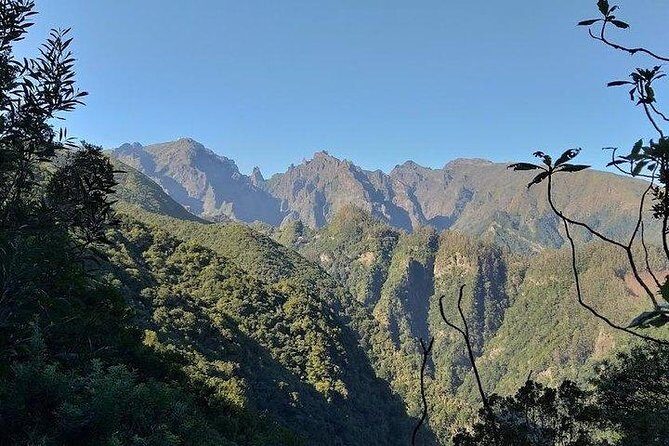 Majestic West Tour and Fanal Forest - Frequently Asked Questions