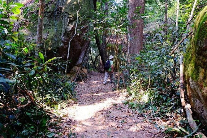 Major Temples & Kulen mountain & Koh Ker & Beng Mealea - 4 Days - Food & Drink