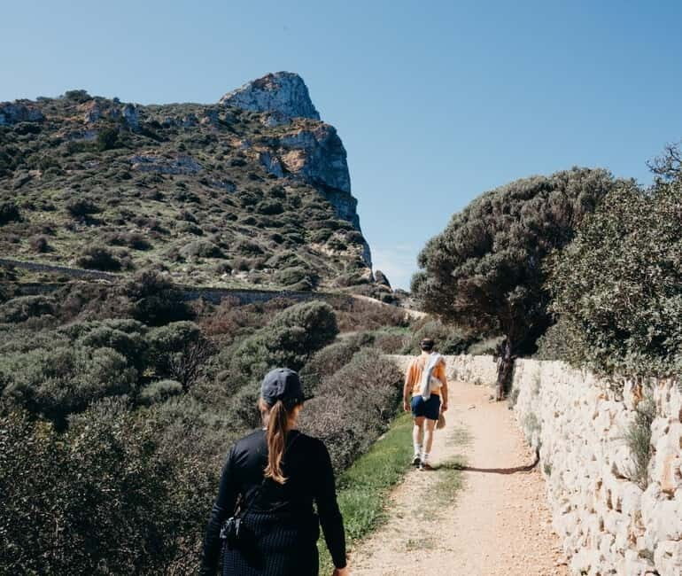 Majorca: Visit the Natural Park of Dragonera Island by boat - Practical Details: What You Need to Know