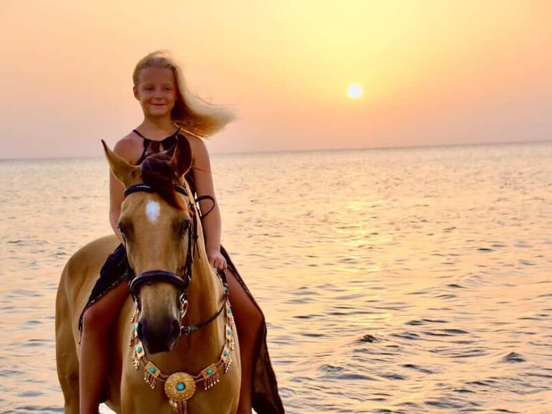 Makadi Bay: Horse Riding in Desert & Sea w Guide + Transfers - Key Points