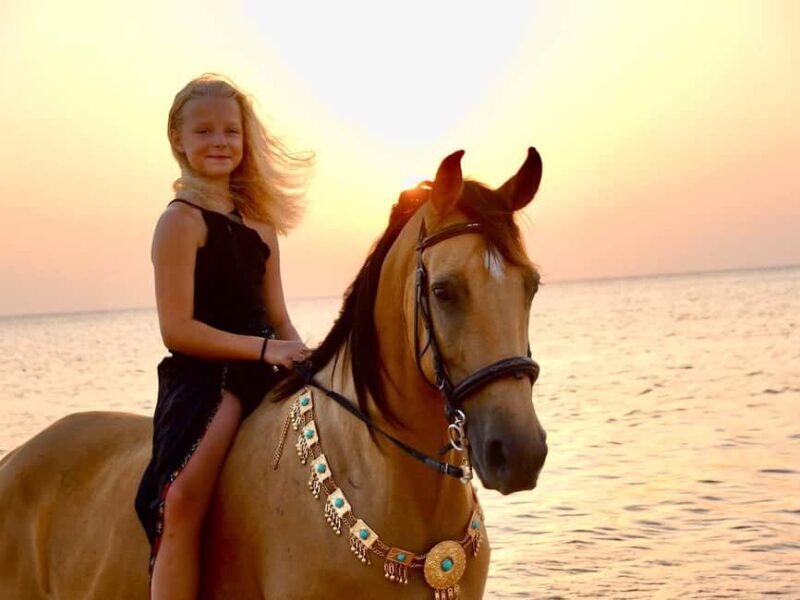 Makadi Bay: Horse Riding in Desert & Sea w Guide + Transfers - FAQ: Questions About the Makadi Bay Horse Riding Tour