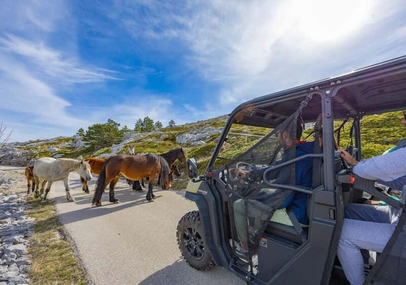 Makarska: Baggy Skywalk & Biokovo Viewpoint Tour - An Overview of the Tour Experience