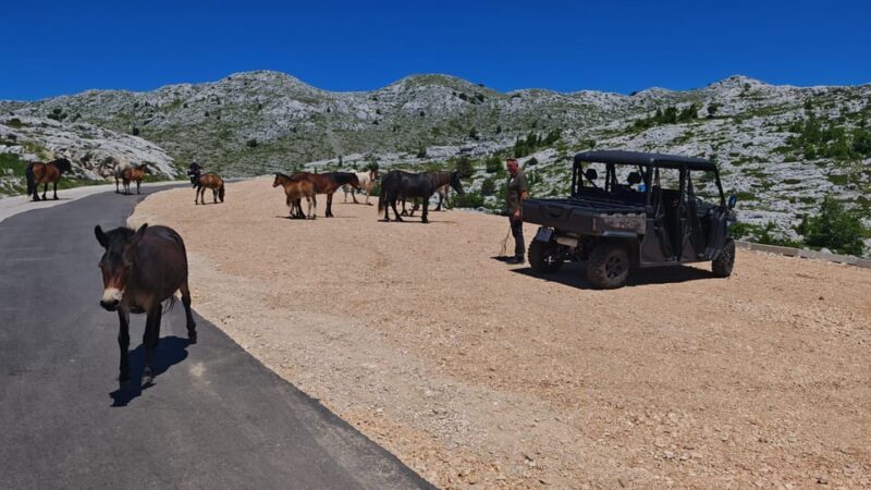 Makarska: Baggy Skywalk & Biokovo Viewpoint Tour - FAQs