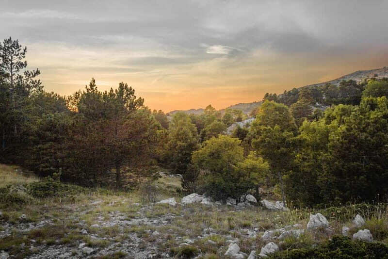 Makarska: Biokovo Skywalk 4X4 Tour: Ultimate Mountain Views - Who Should Book This Tour?