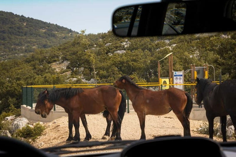 Makarska: Biokovo Skywalk 4X4 Tour: Ultimate Mountain Views - Final Thoughts