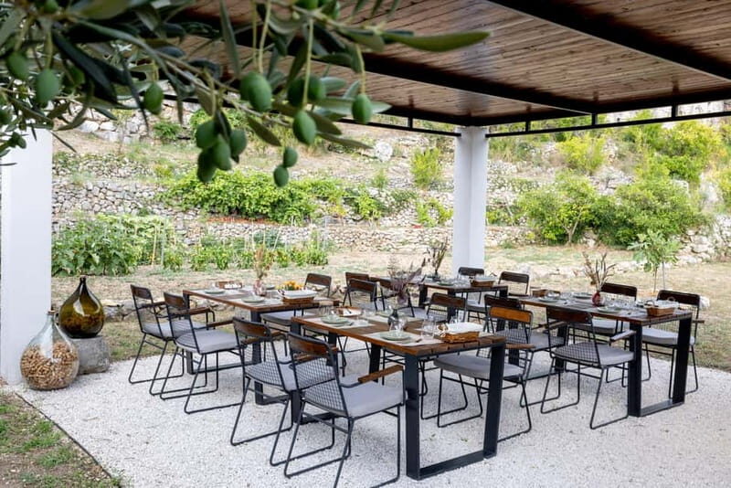 Makarska: City Tour & Olive Oil Tasting with a Tuk Tuk - Key Points