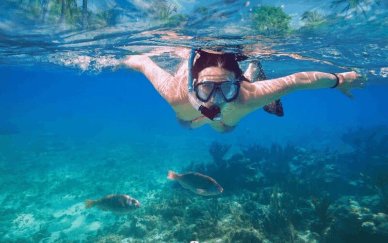 Makarska: Sea kayaking & snorkeling adventure - MPL Nautika - FAQ