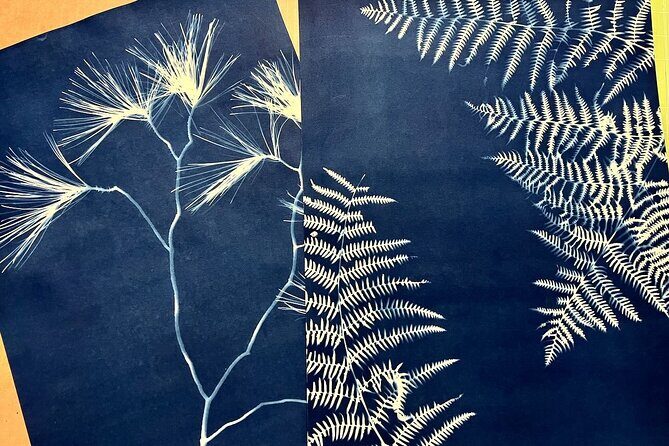 Make Sun Prints in the Desert - A Deep Dive Into the Experience