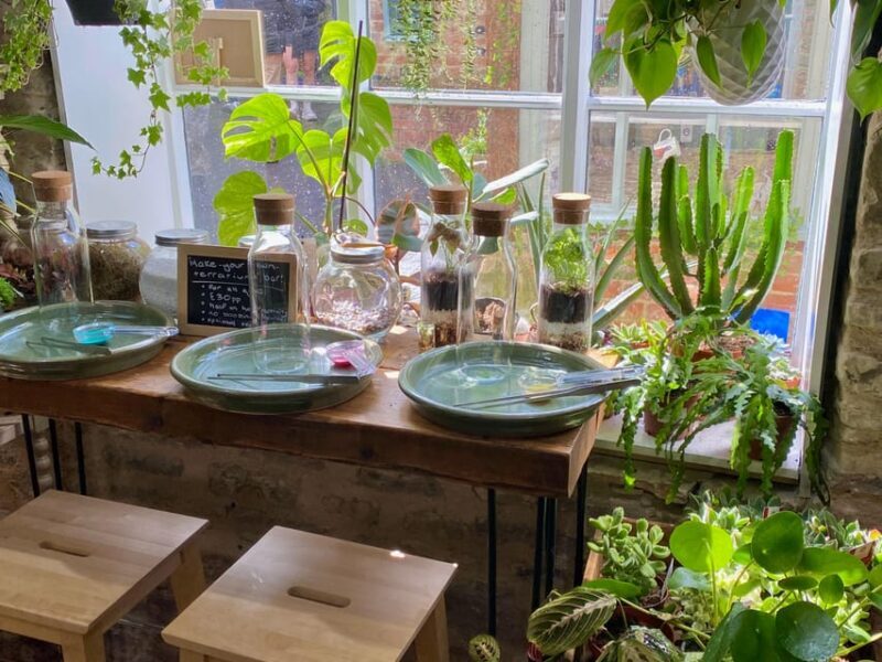 Make Your Own Terrarium in a houseplant paradise