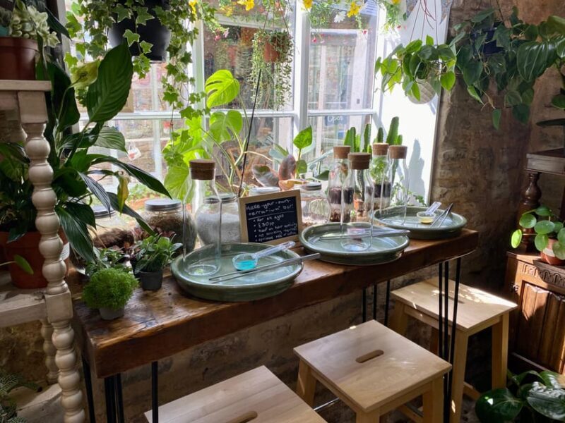 Make Your Own Terrarium in a houseplant paradise - Key Points