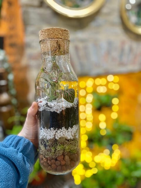 Make Your Own Terrarium in a houseplant paradise - What You Can Expect During the Workshop