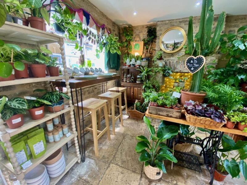Make Your Own Terrarium in a houseplant paradise - Accessibility and Additional Information