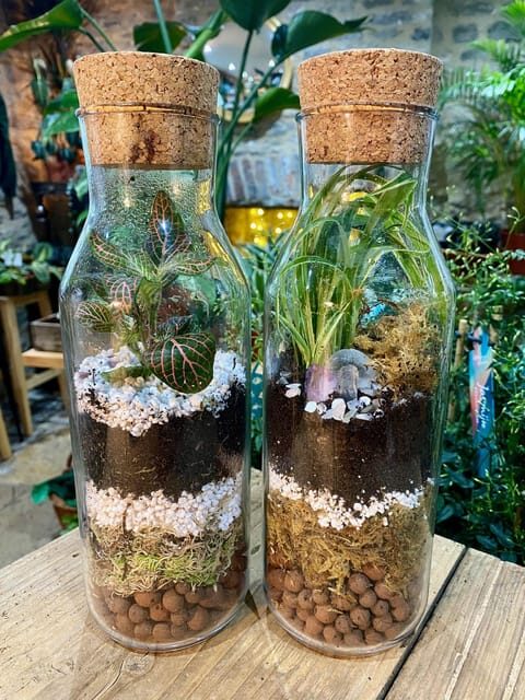 Make Your Own Terrarium in a houseplant paradise - The Bottom Line: Who Should Book This?