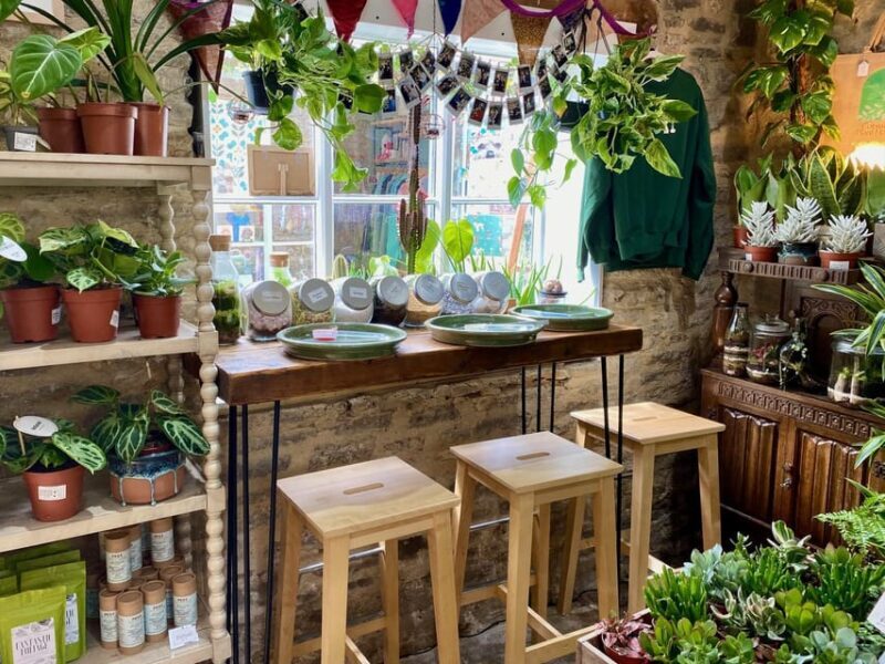 Make Your Own Terrarium in a houseplant paradise