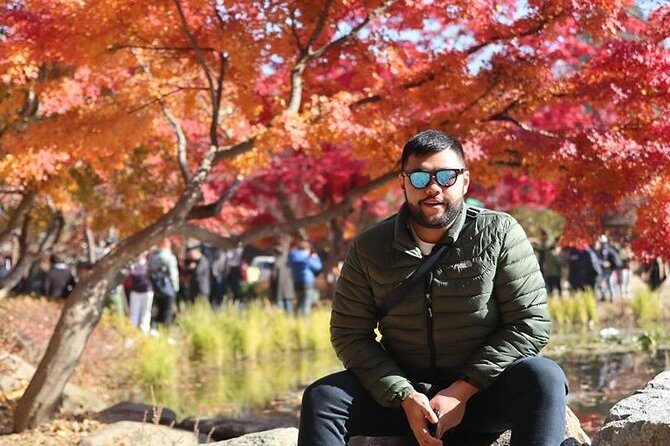 Make Your Trip Around Nami Island With an Expert(DSLR option) - An In-Depth Look at the Tour Experience