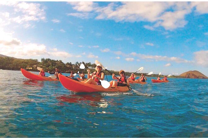 Makena Turtle Town Eco Adventure in Maui - Review Highlights from Participants