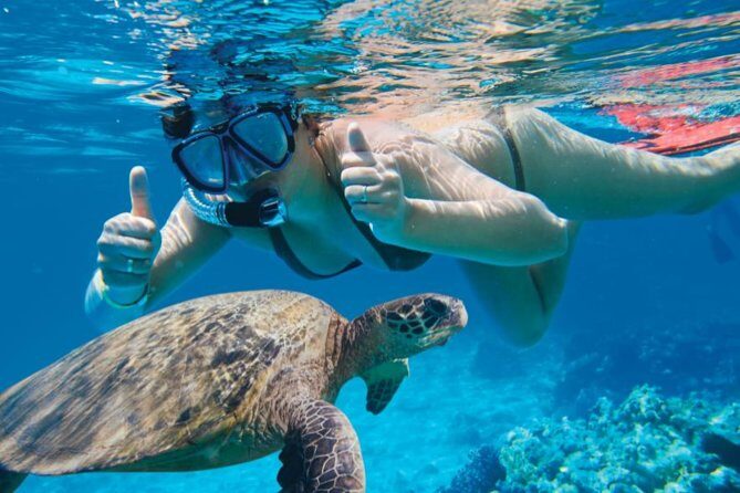 Makena-Wailea Explorer Trip in Maui - Who Would Love This Tour?