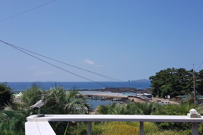 Making Jeju Pony Doll at Peaceful Seaside cafe - Final Word