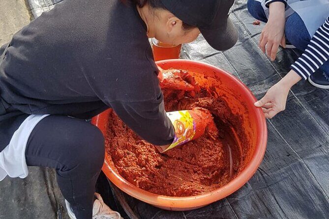 Making Kimchi at a Country Farm near Busan in November - FAQ