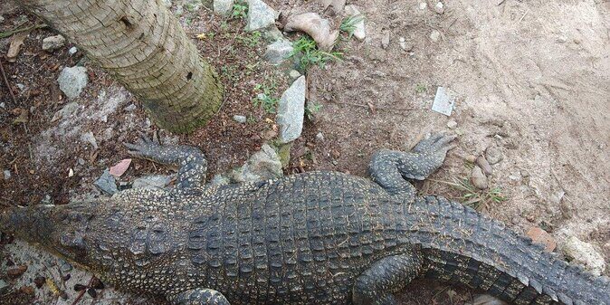 Malacca Zoo & Crocodile Park Tour from Kuala Lumpur with Lunch - Key Points